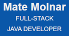 Freelance Full-Stack Java Developer - Mate Molnar